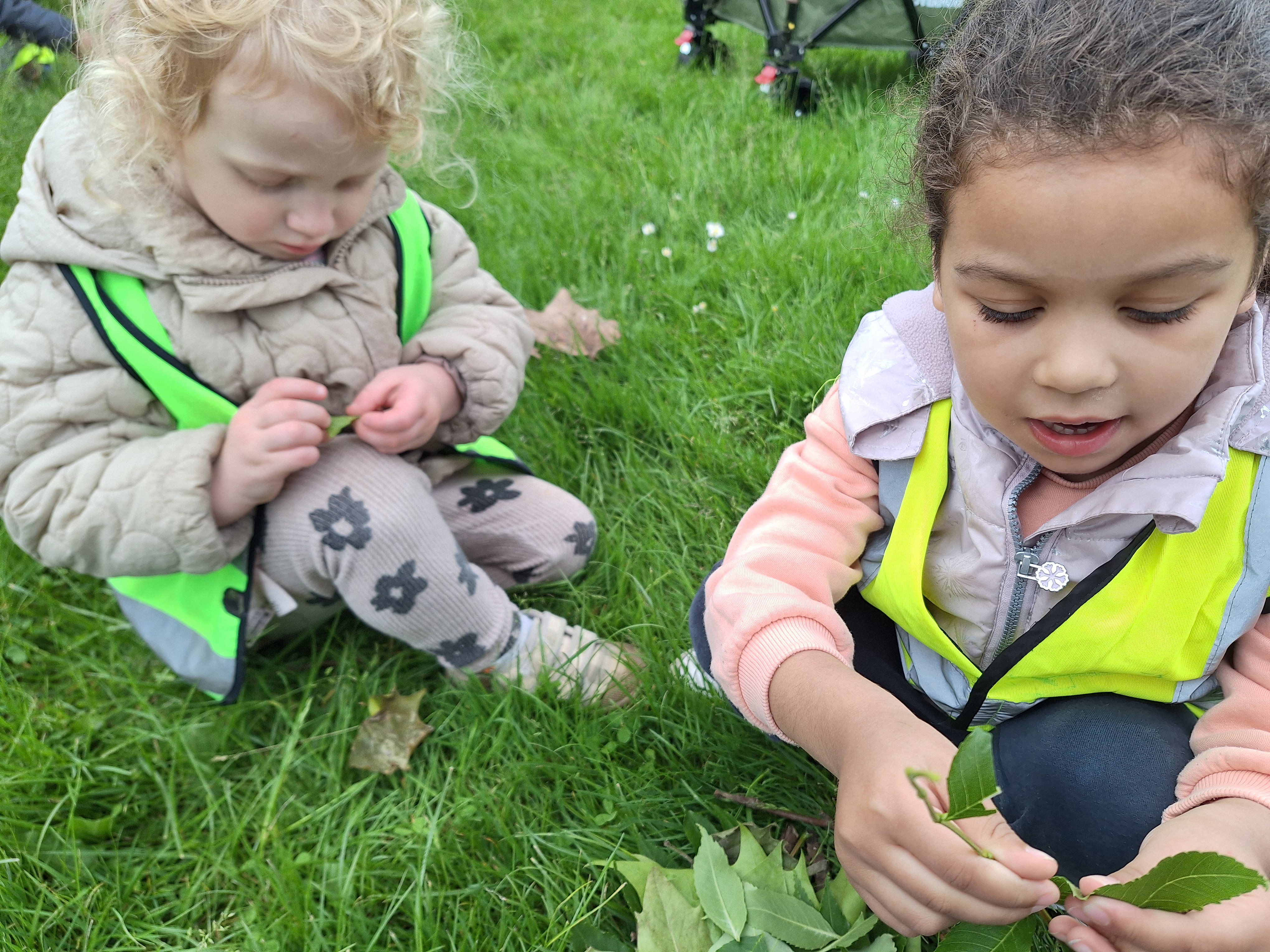 About Me – My Forest School Journey